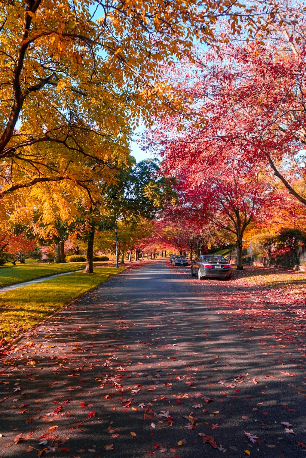 Fall Fun Guide – Tea & Taffeta